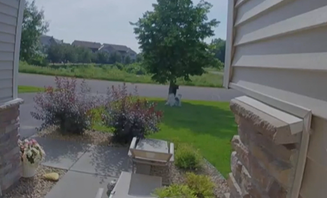 Caught on camera: Dog chases away bear from family's front yard