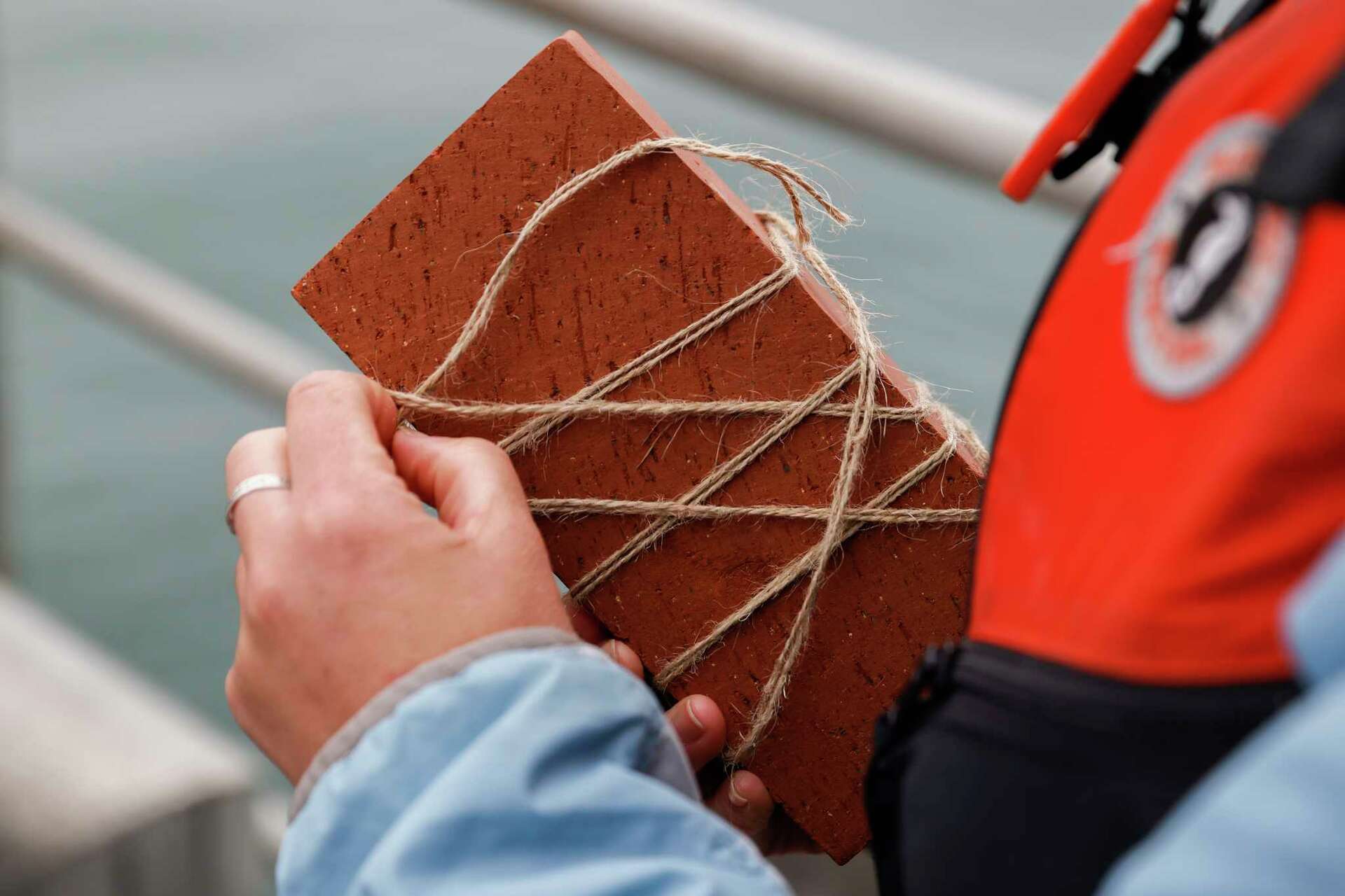 California's underwater kelp forests might be saved using bricks