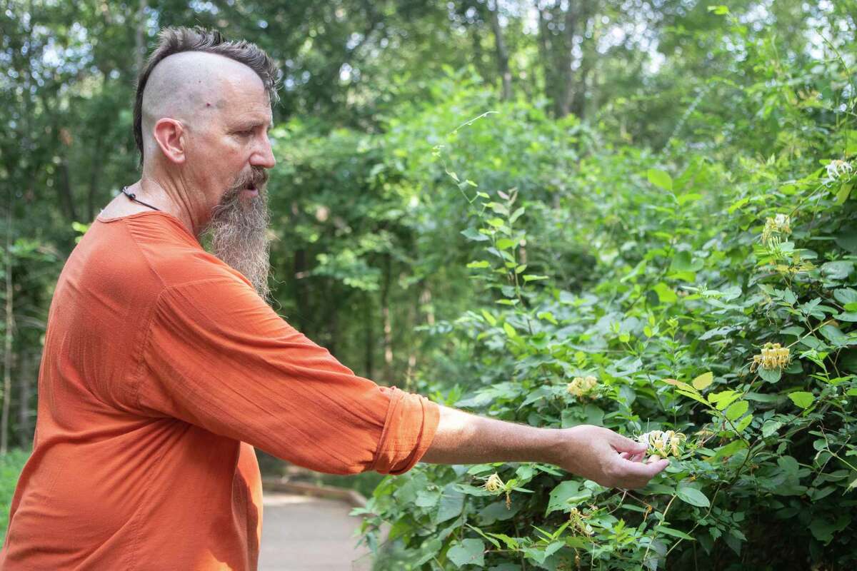 Foraging in The Woodlands: How to grow your own ‘food forest’