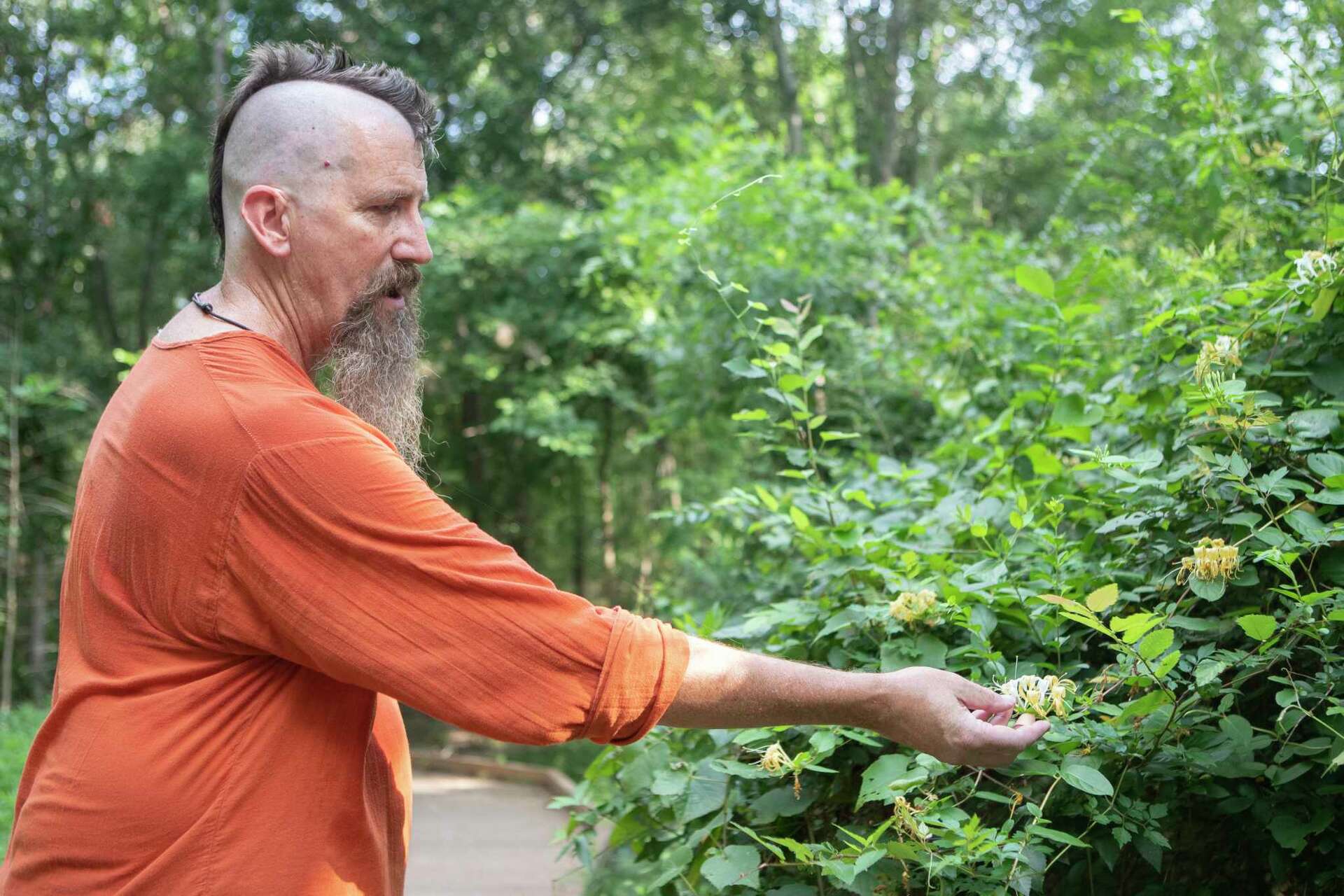 Foraging in The Woodlands: How to grow your own ‘food forest’