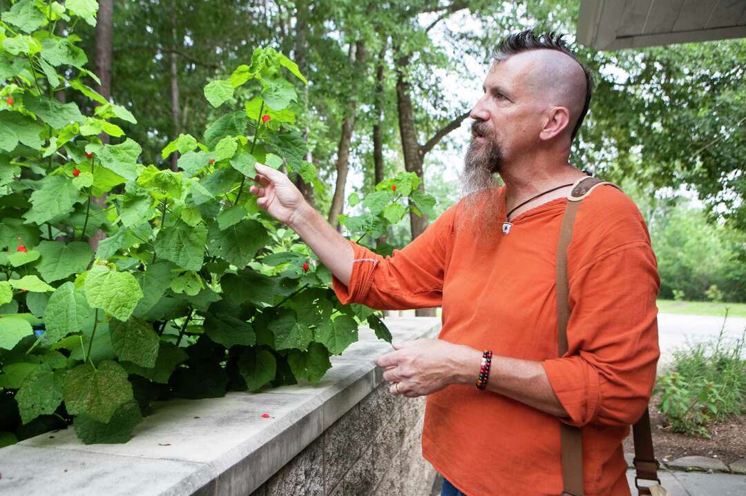 Foraging in The Woodlands: How to grow your own ‘food forest’