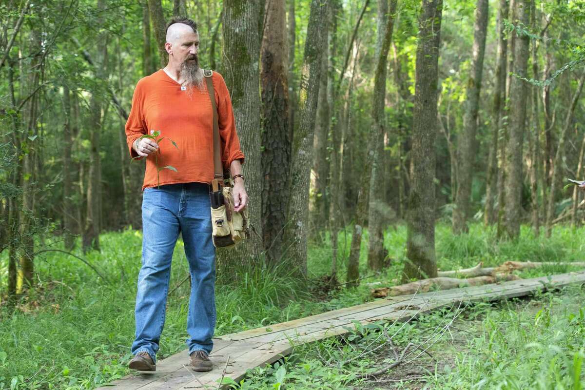 Foraging in The Woodlands: How to grow your own ‘food forest’