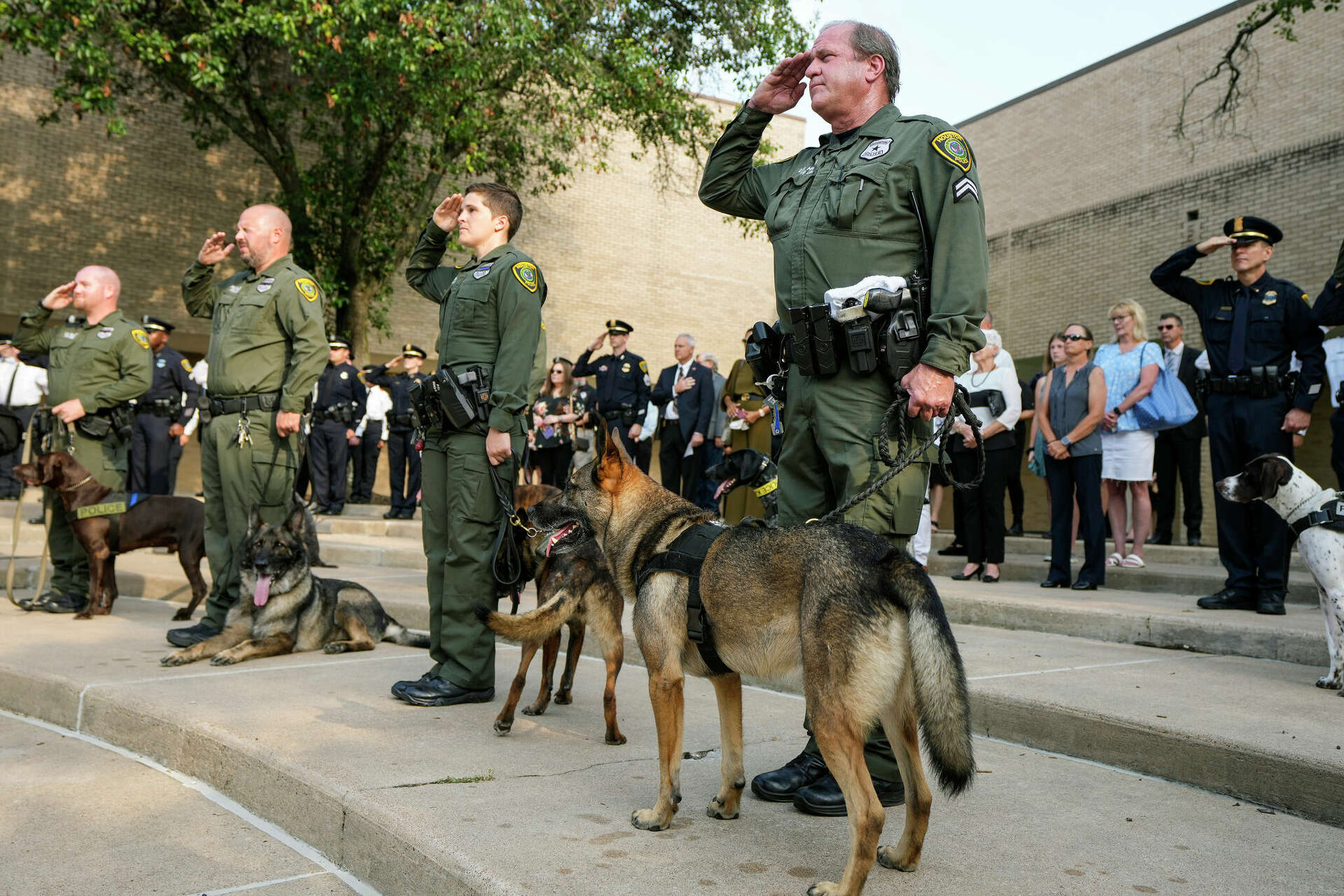 HPD memorializes K-9 whose death in police car is under investigation