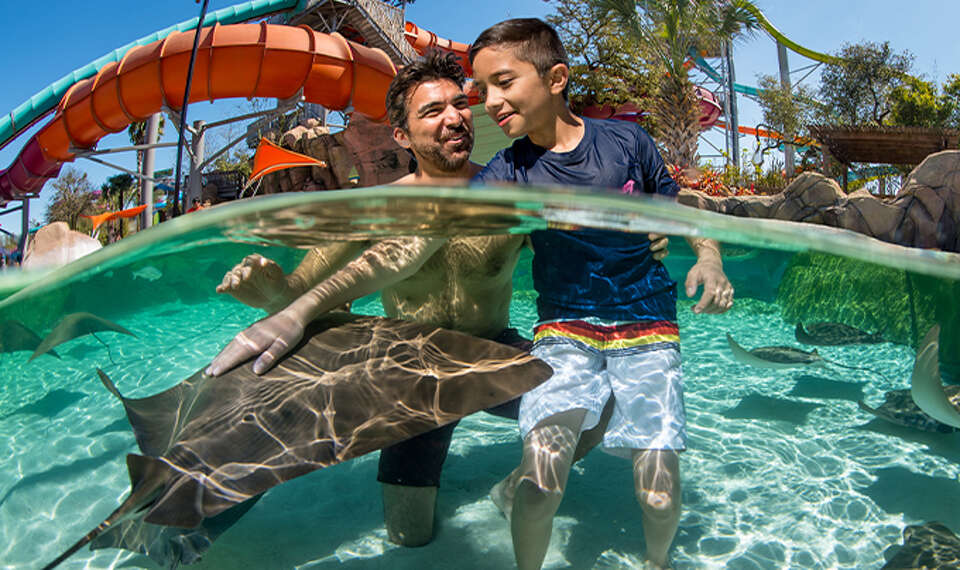 Aquatica San Antonio: A guide to the resort-style water park