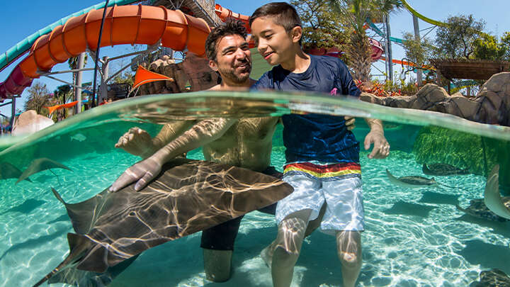 Aquatica San Antonio: A guide to the resort-style water park