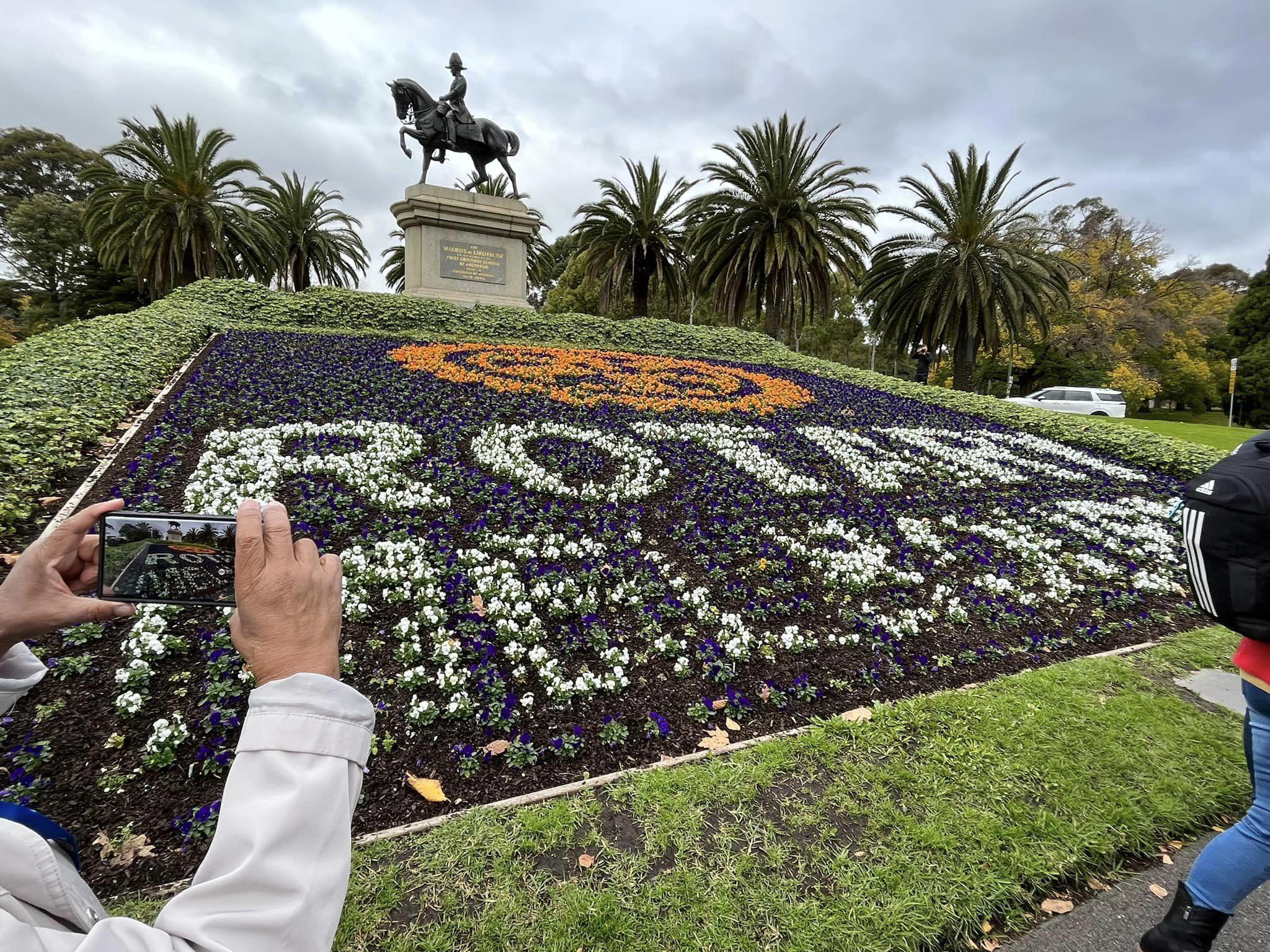 A Rotary Moment: Rotarians see the tree planted by Rotary founder Paul ...