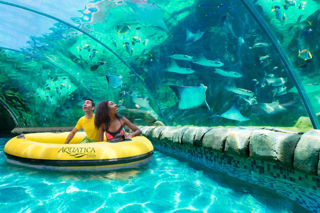 Aquatica San Antonio: A guide to the resort-style water park