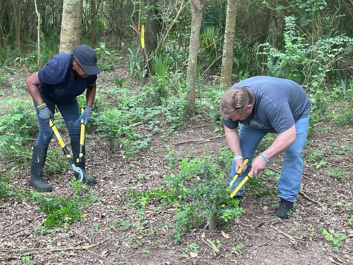Fort Bend volunteers clean former slave cemetery for Juneteenth