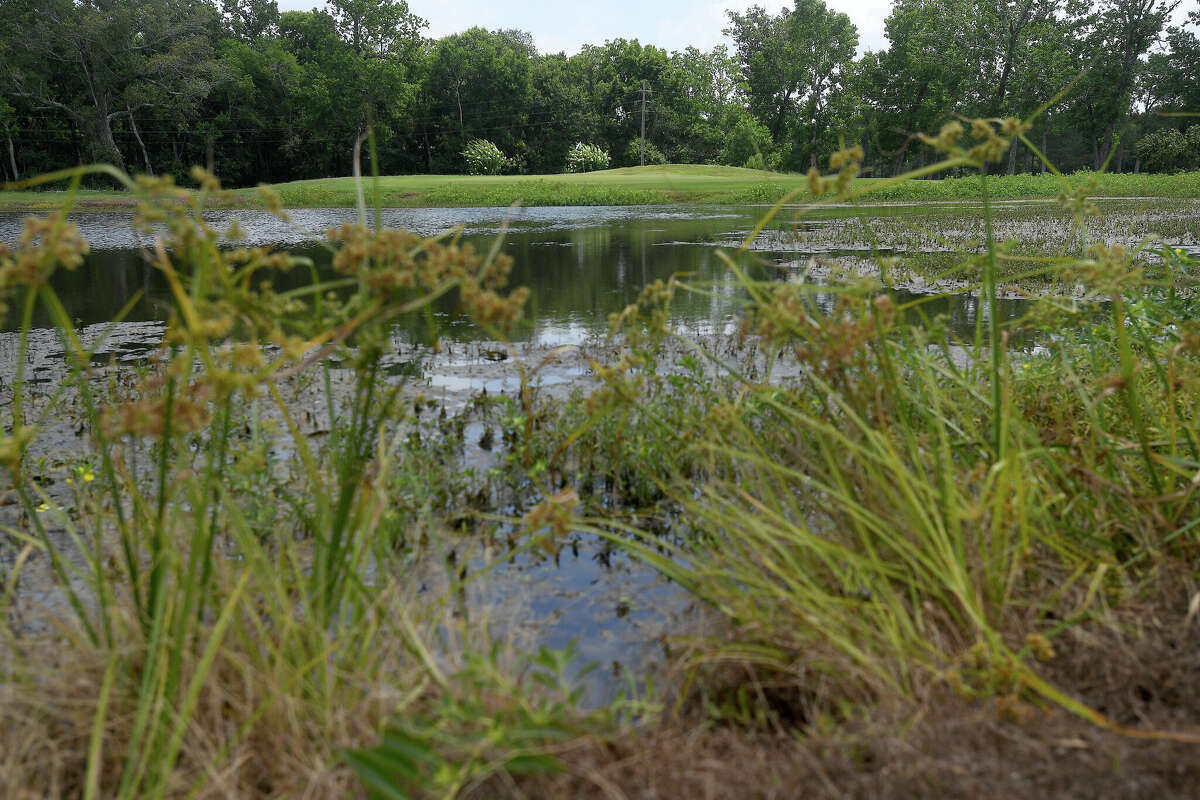 Here is what Southeast Texas 'Dream 18' Golf Course would look like