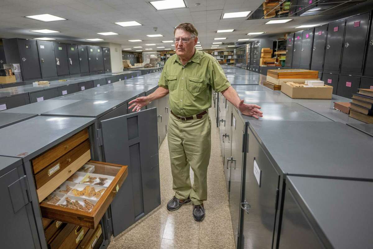 NYS Museum has preserved thousands of spiders, ticks and insects
