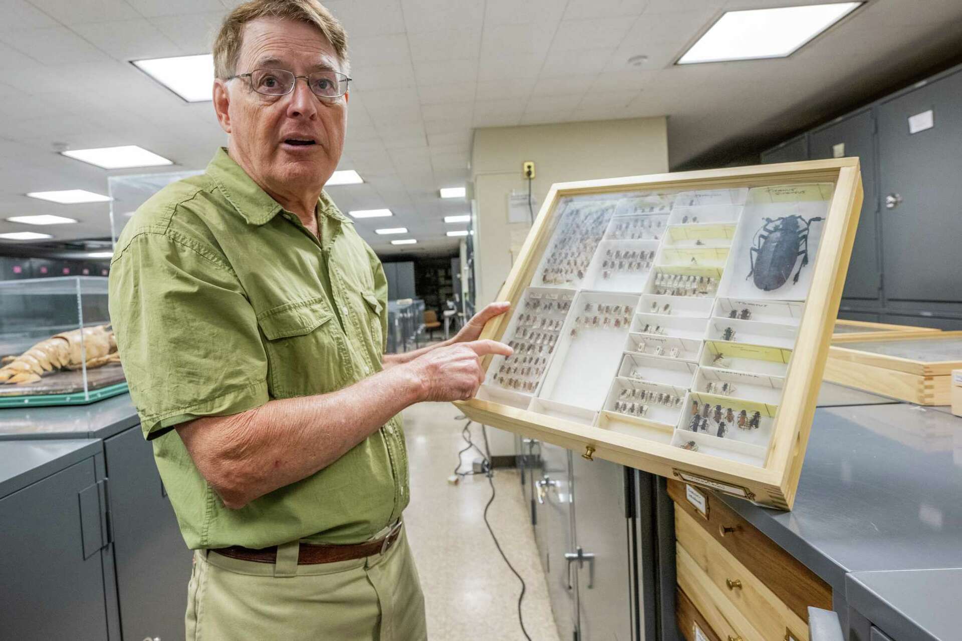 NYS Museum has preserved thousands of spiders, ticks and insects