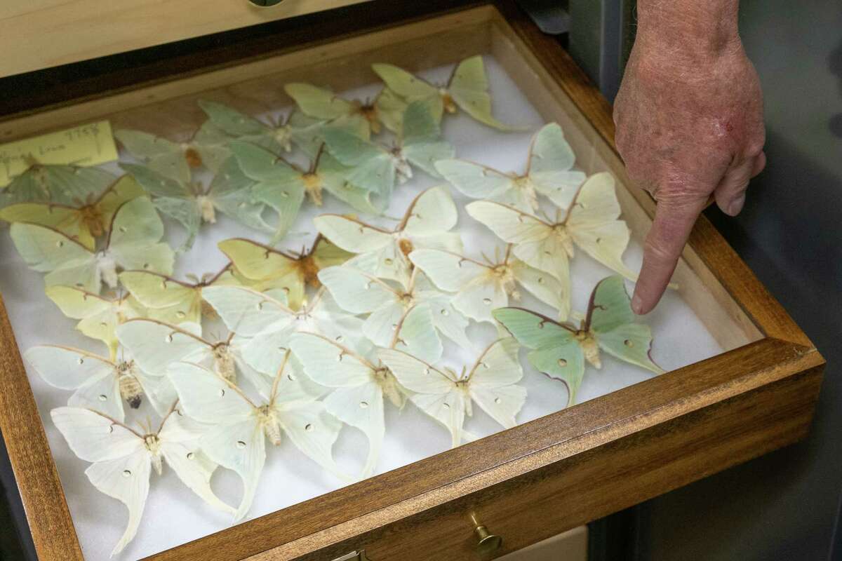 NYS Museum has preserved thousands of spiders, ticks and insects