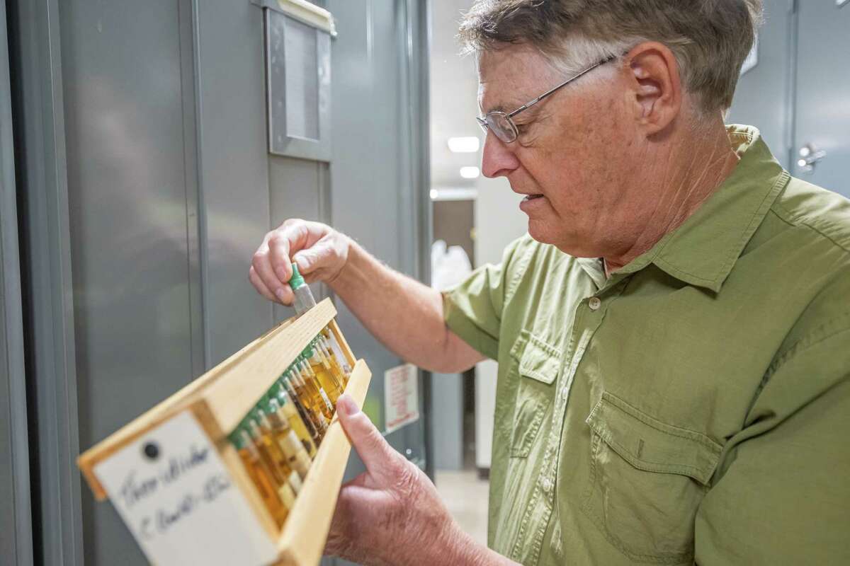 NYS Museum has preserved thousands of spiders, ticks and insects