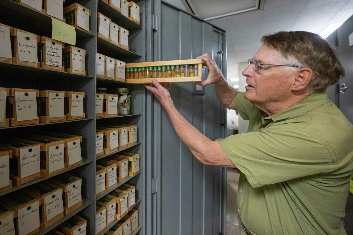 NYS Museum has preserved thousands of spiders, ticks and insects