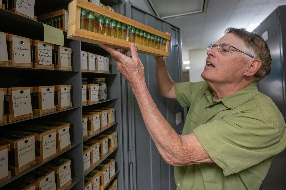 NYS Museum has preserved thousands of spiders, ticks and insects