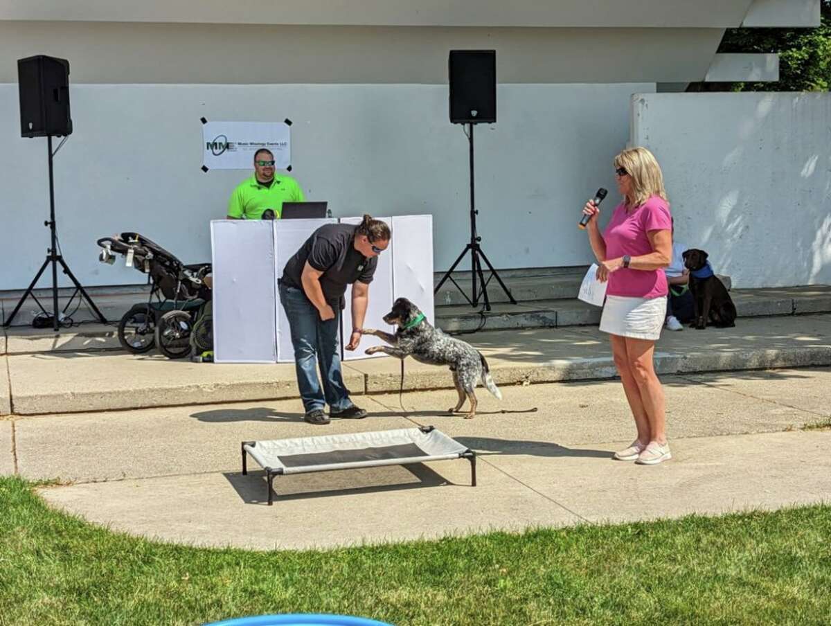 Bark for Life continues to grow, drawing more dogs, people