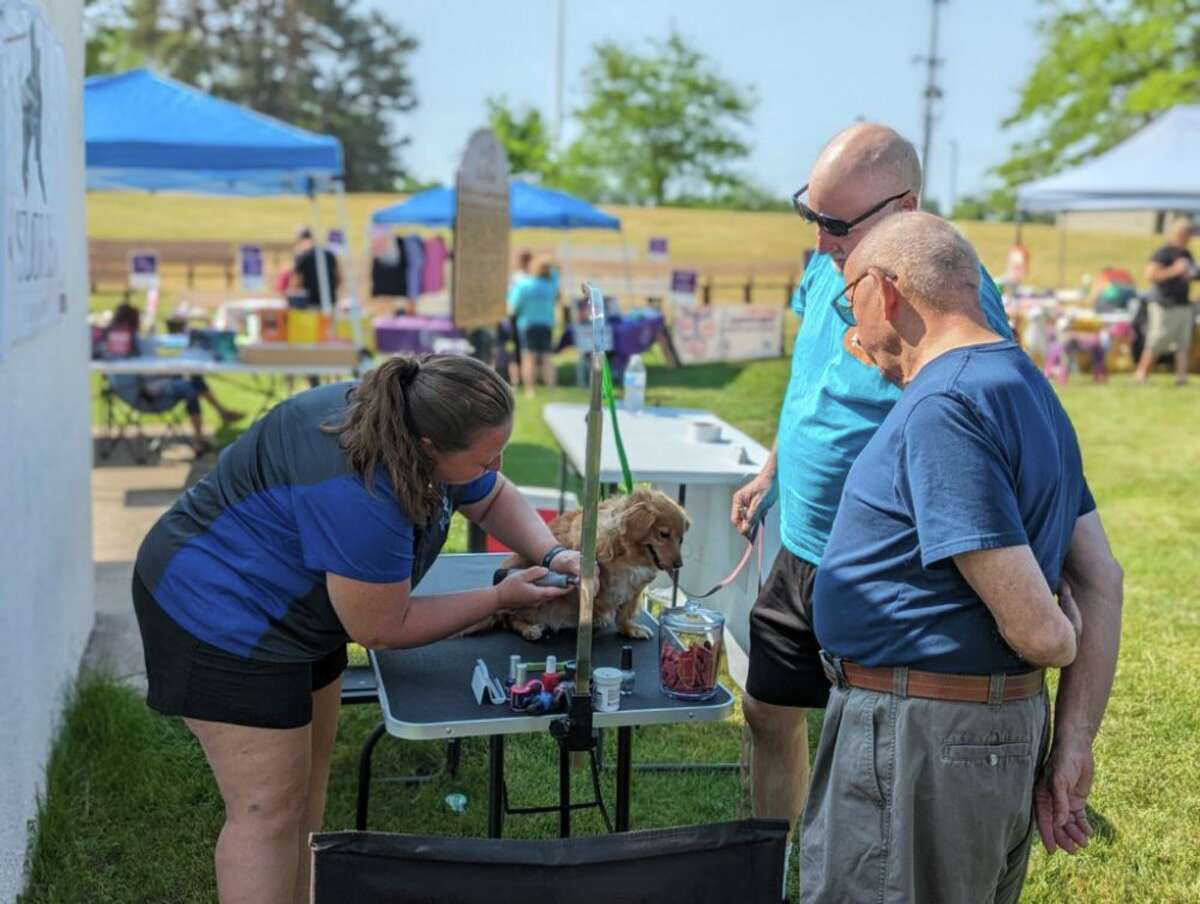 Bark for Life continues to grow, drawing more dogs, people