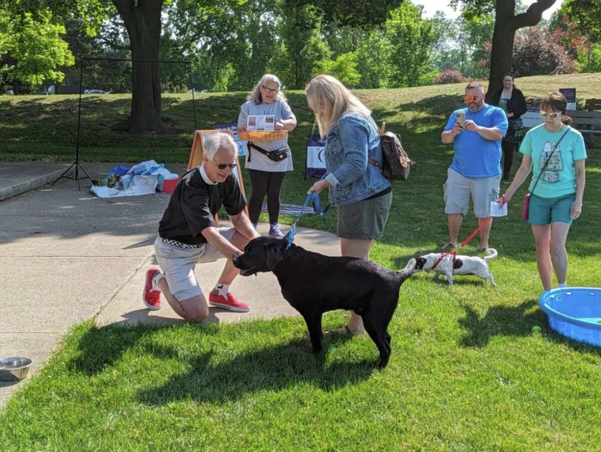 Bark for Life continues to grow, drawing more dogs, people