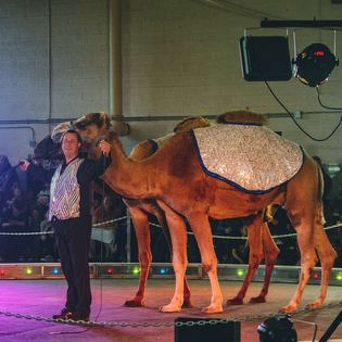 Bad Axe to get visit from the circus