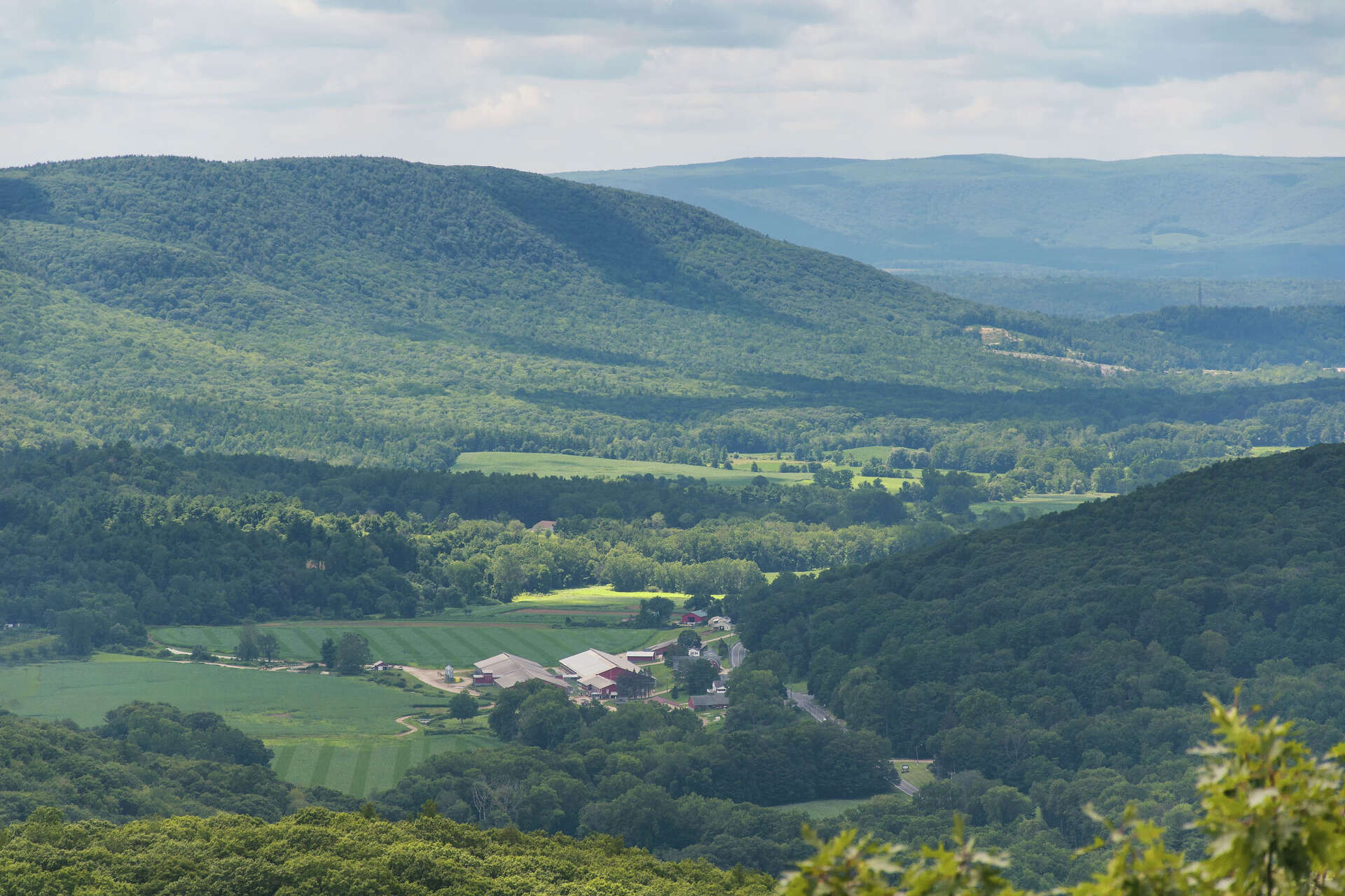 Haystack Mountain State Park closed due to tree removal, officials say