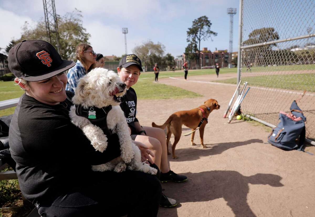 San Francisco Gay Softball League celebrates 50th anniversary