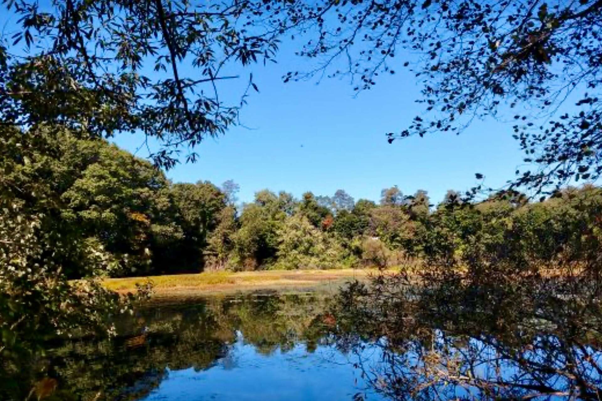 A chance to save valuable open space in Hamden