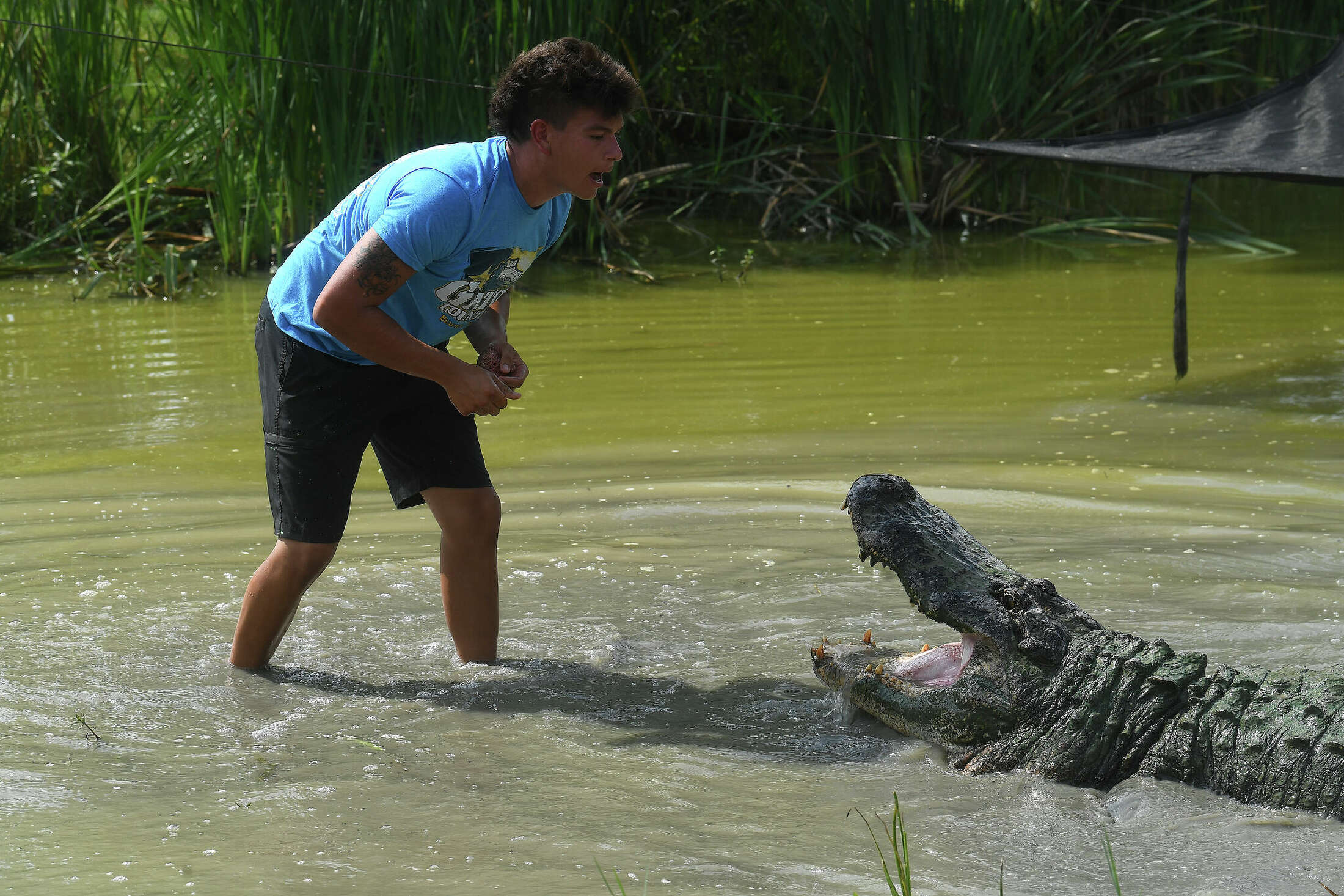 Texas Gator Savers to air on Direct TV, stream on Fubo ATT