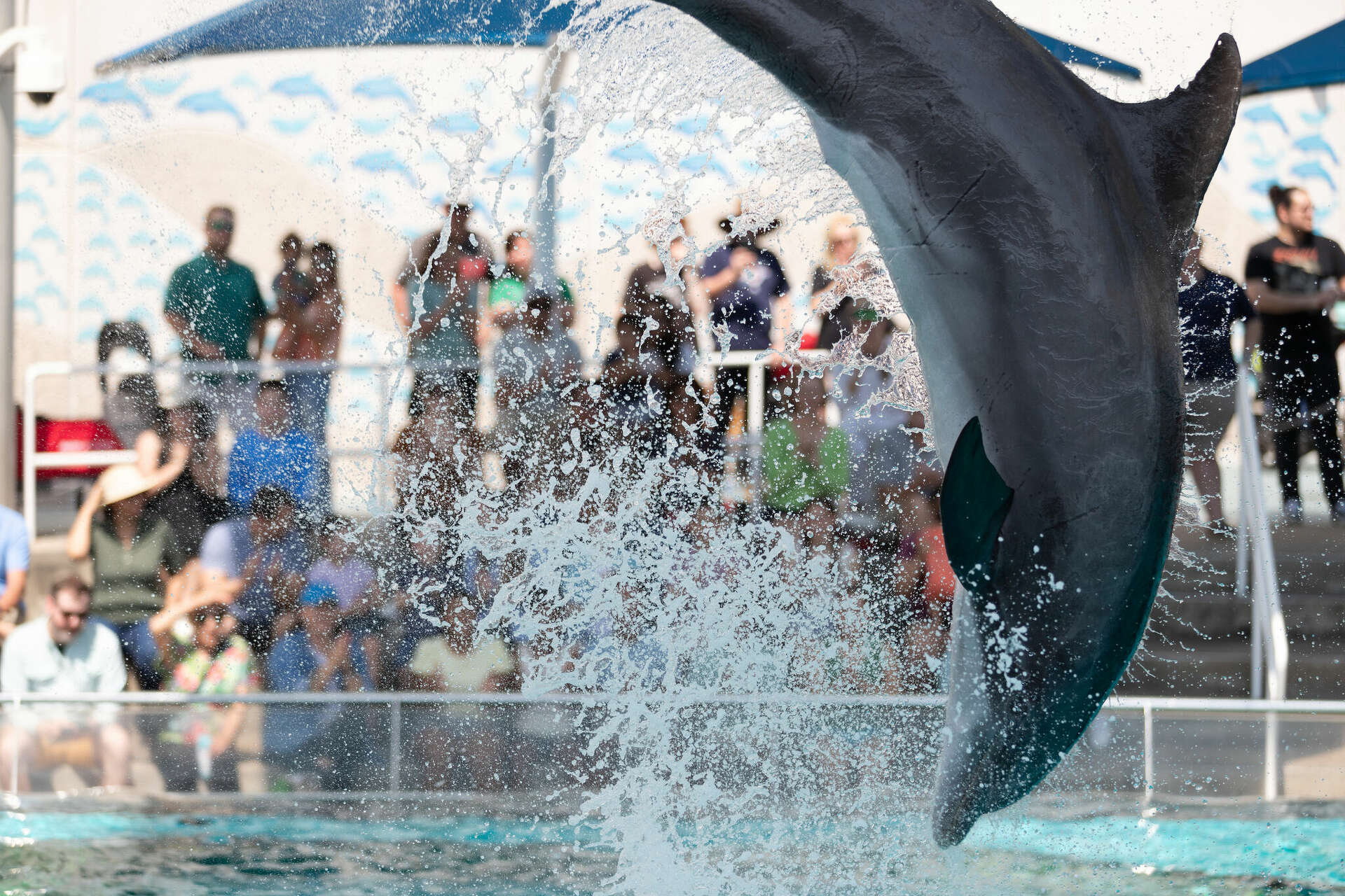 Put this fun Corpus Christi aquarium on your next beach visit