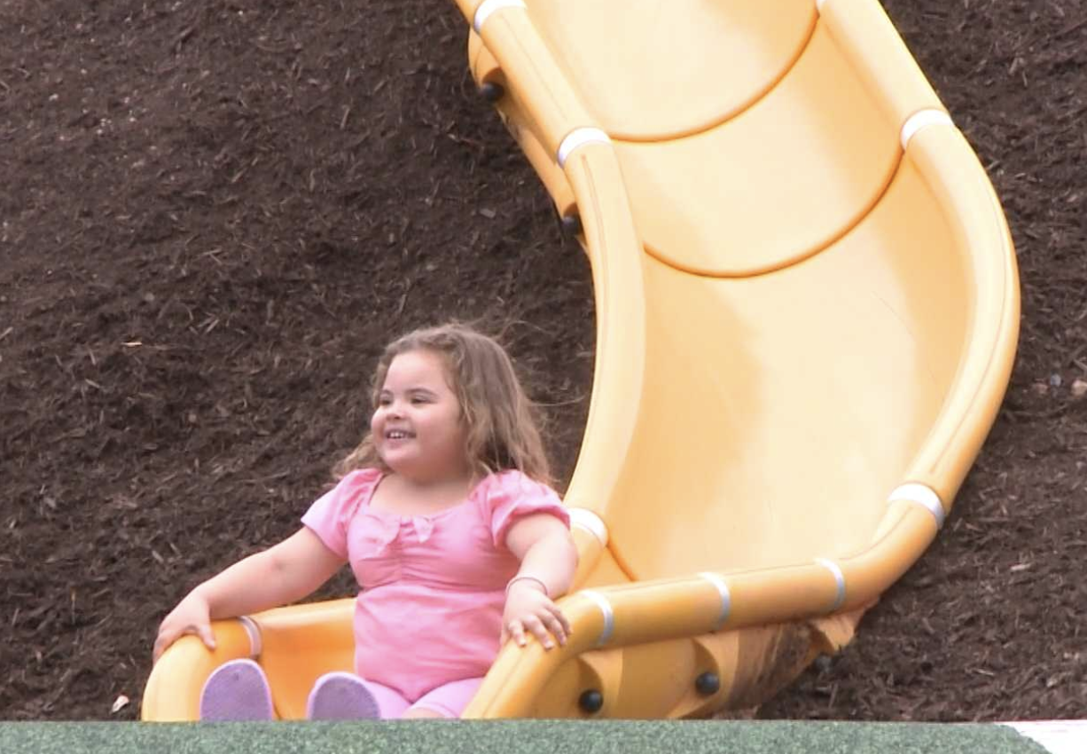 Take a look: This $1 million playground was designed with a classic ...