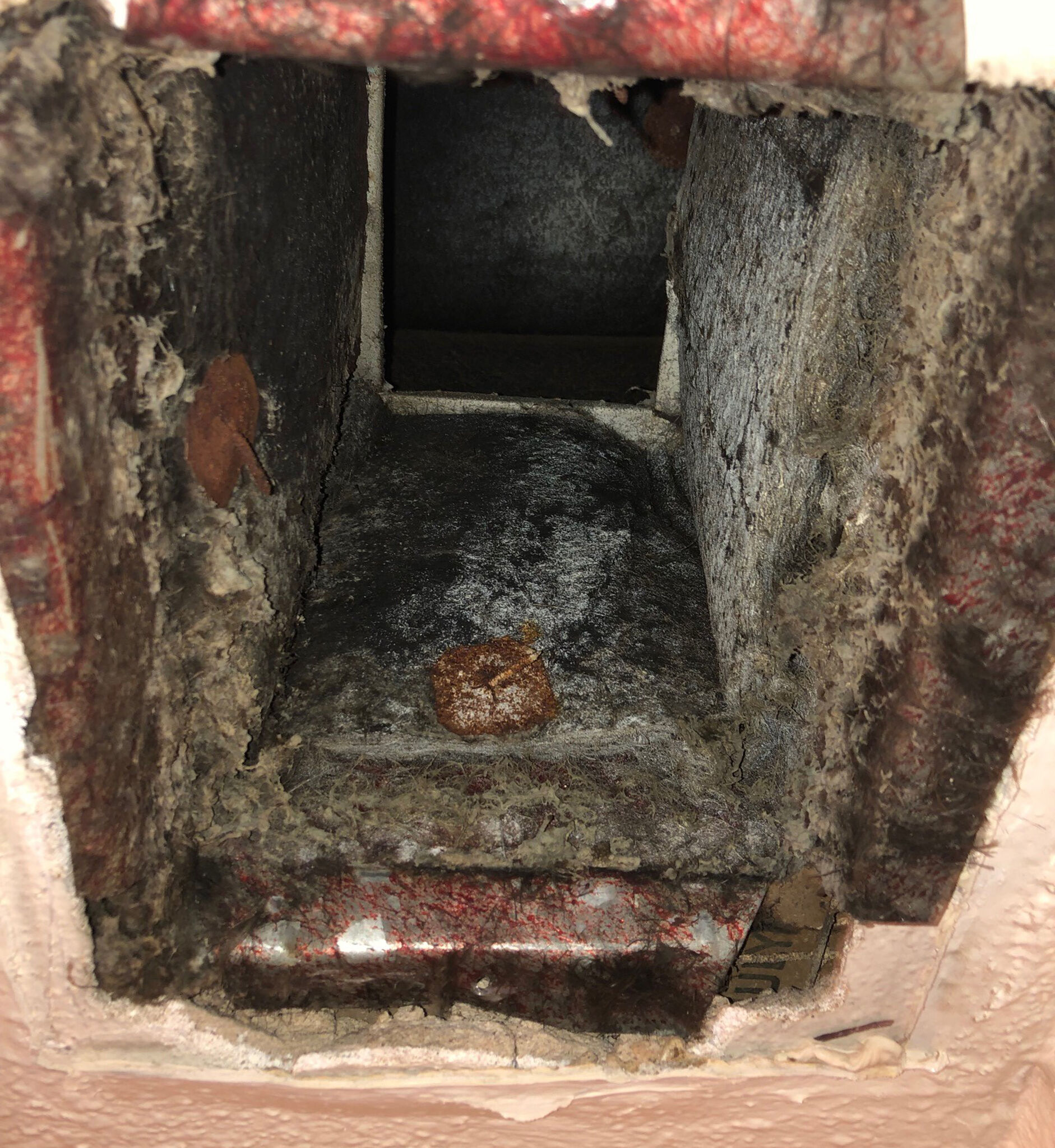 In Randolph AFB mold case, a jury has awarded a family $91,654