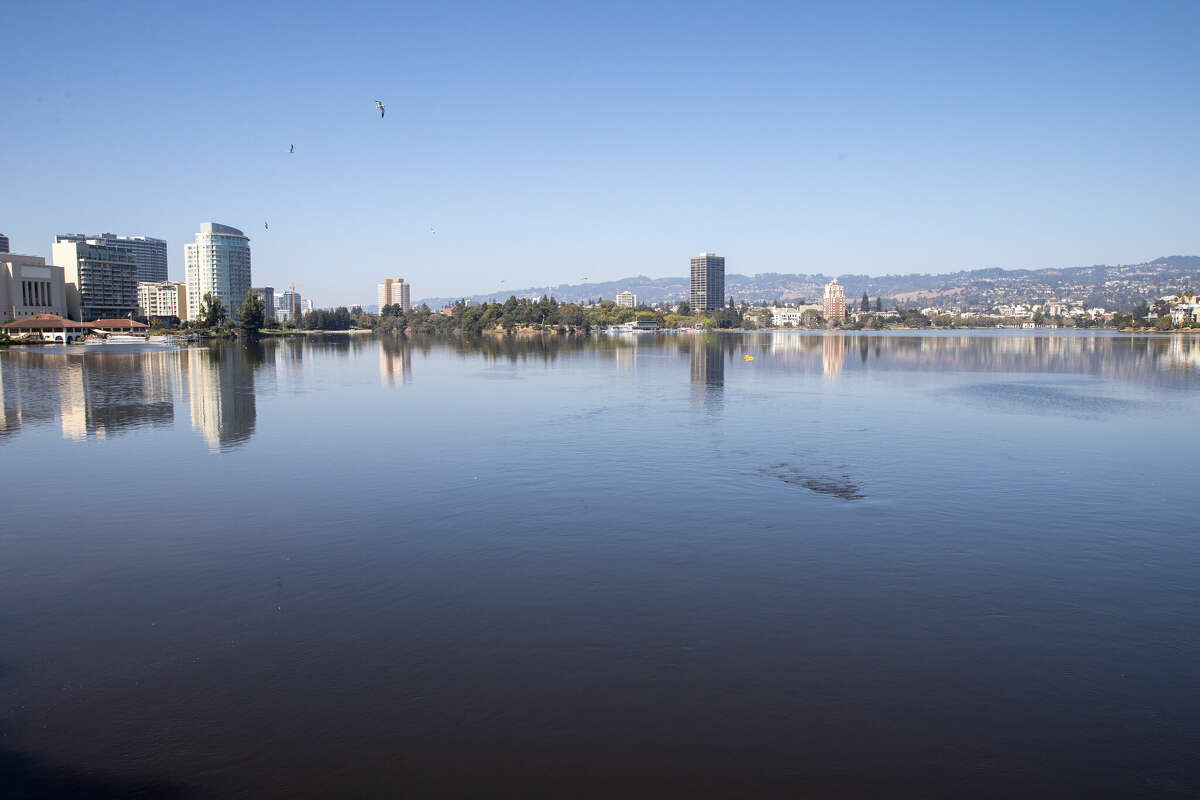 Alienlike creature filmed swimming through Oakland's Lake Merritt