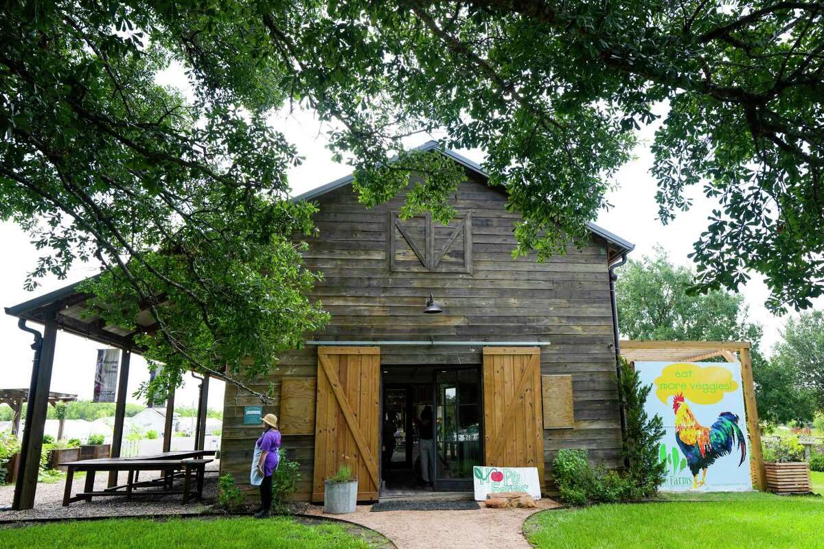 How this urban farm in Houston is going off-the-grid with solar energy