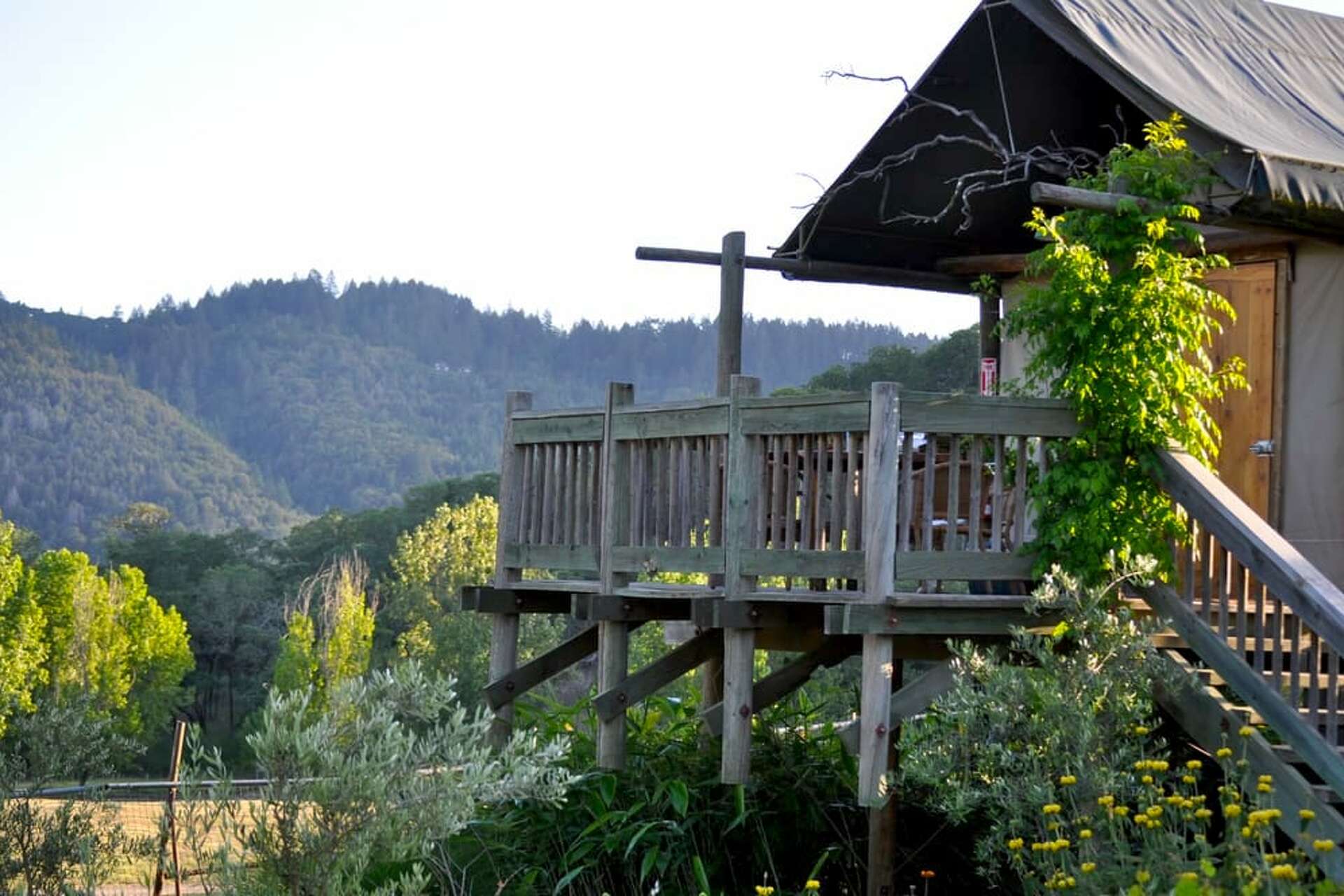 Best places to stay in Sonoma that aren't hotels