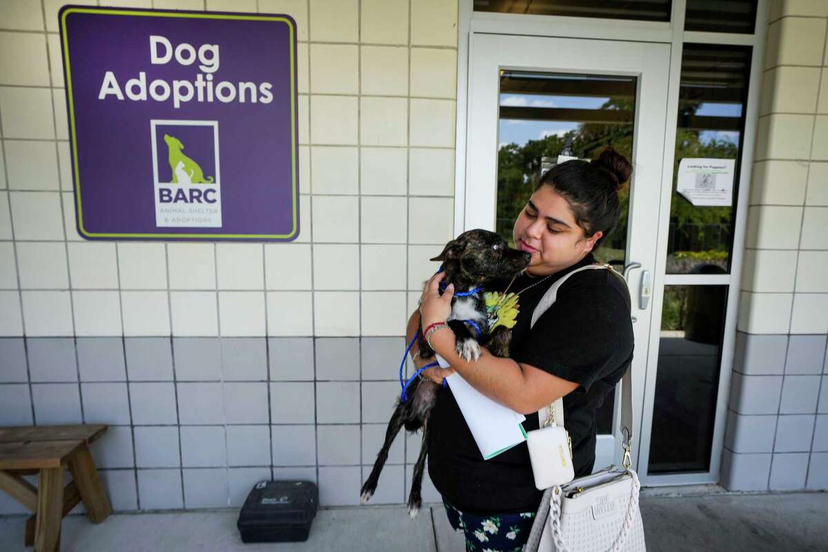Houston shelter workers managing influx of strays as euthanasia climbs