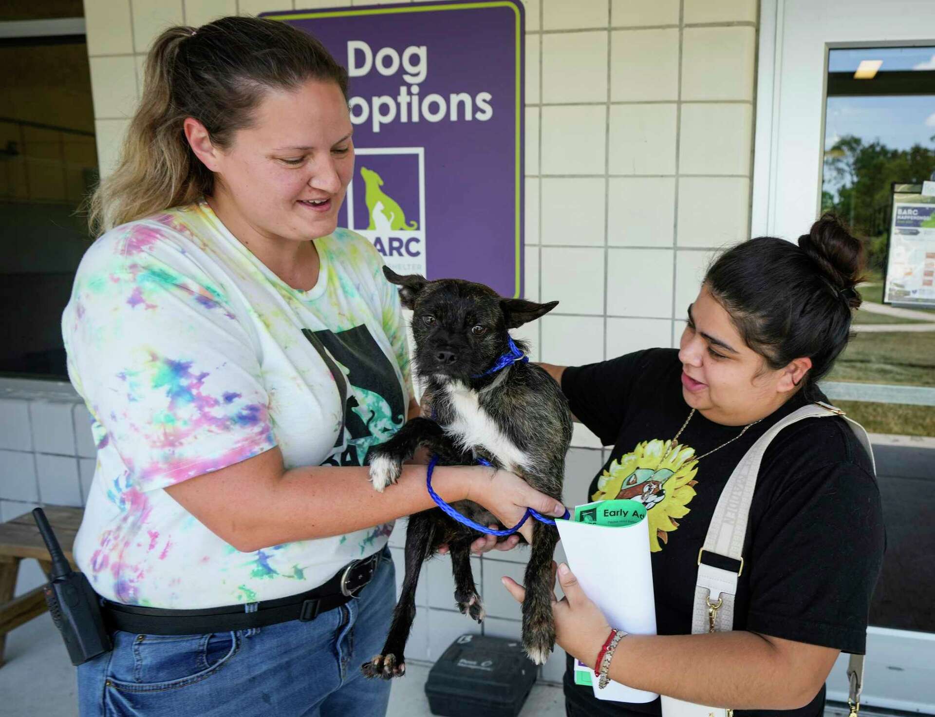 Houston shelter workers managing influx of strays as euthanasia climbs