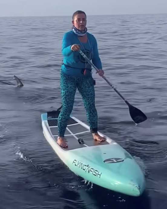 Caught on video: Woman on paddleboard has close encounter with ...