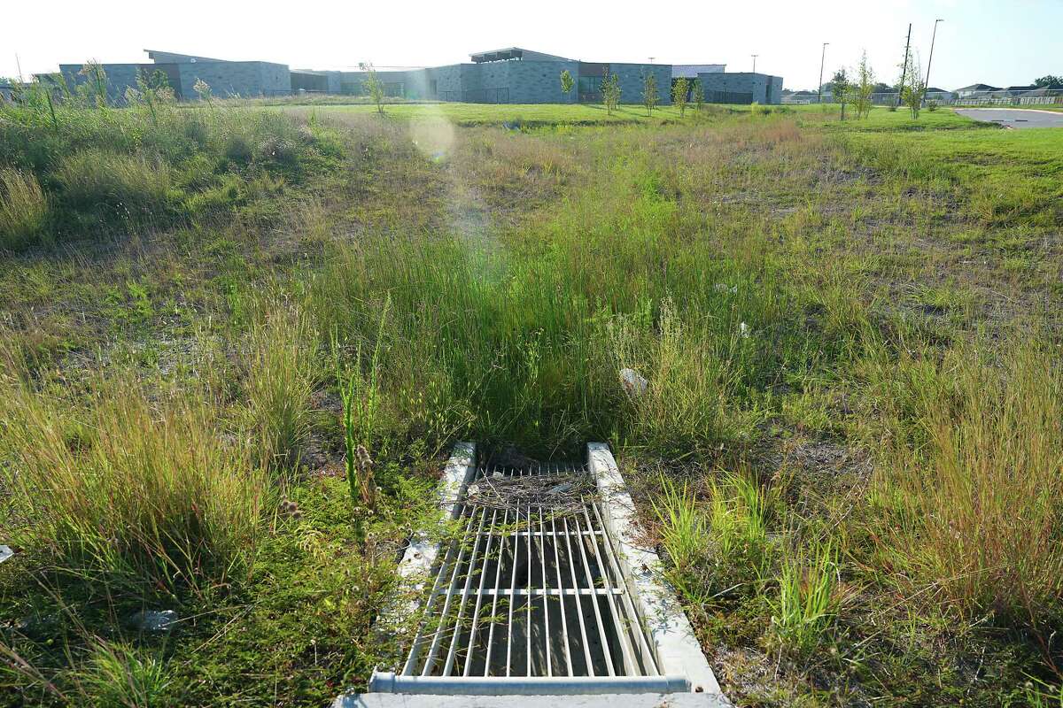 Alief pre-k center makes native Houston wildlife a teaching tool