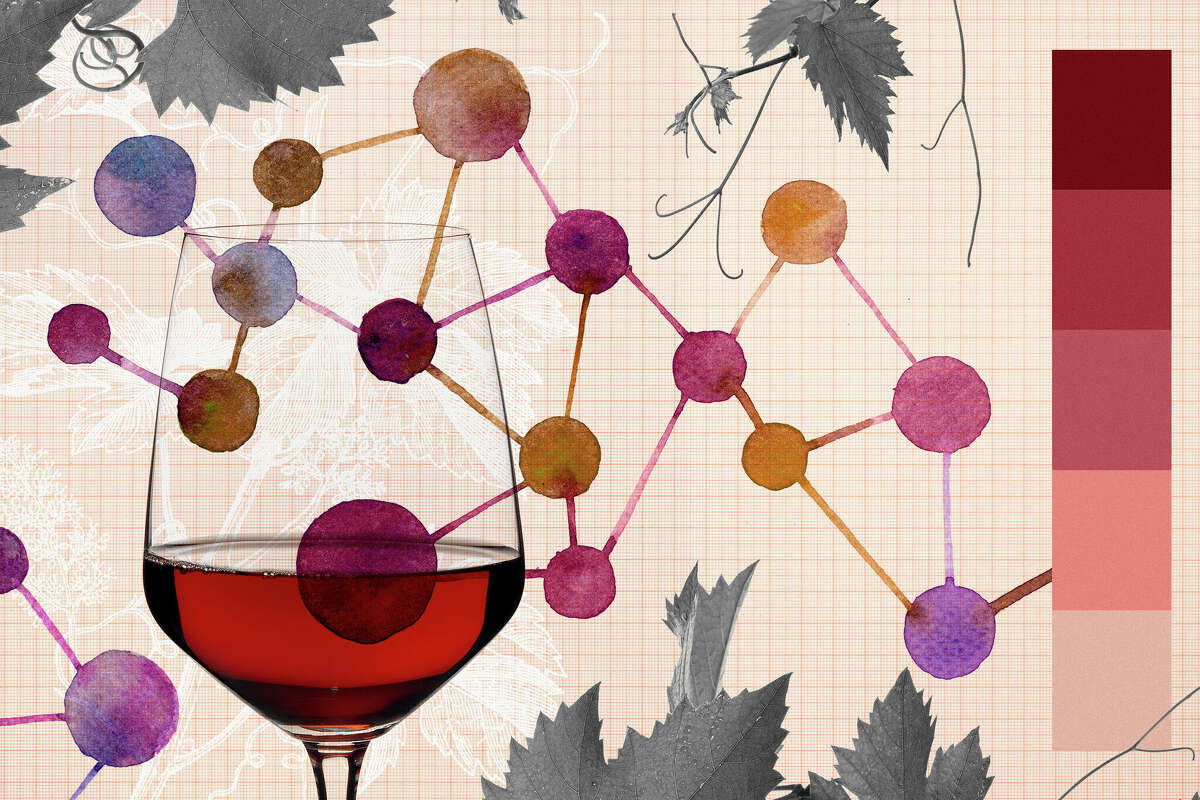 Are Napa Valley Cabernet Sauvignon wines losing their color?