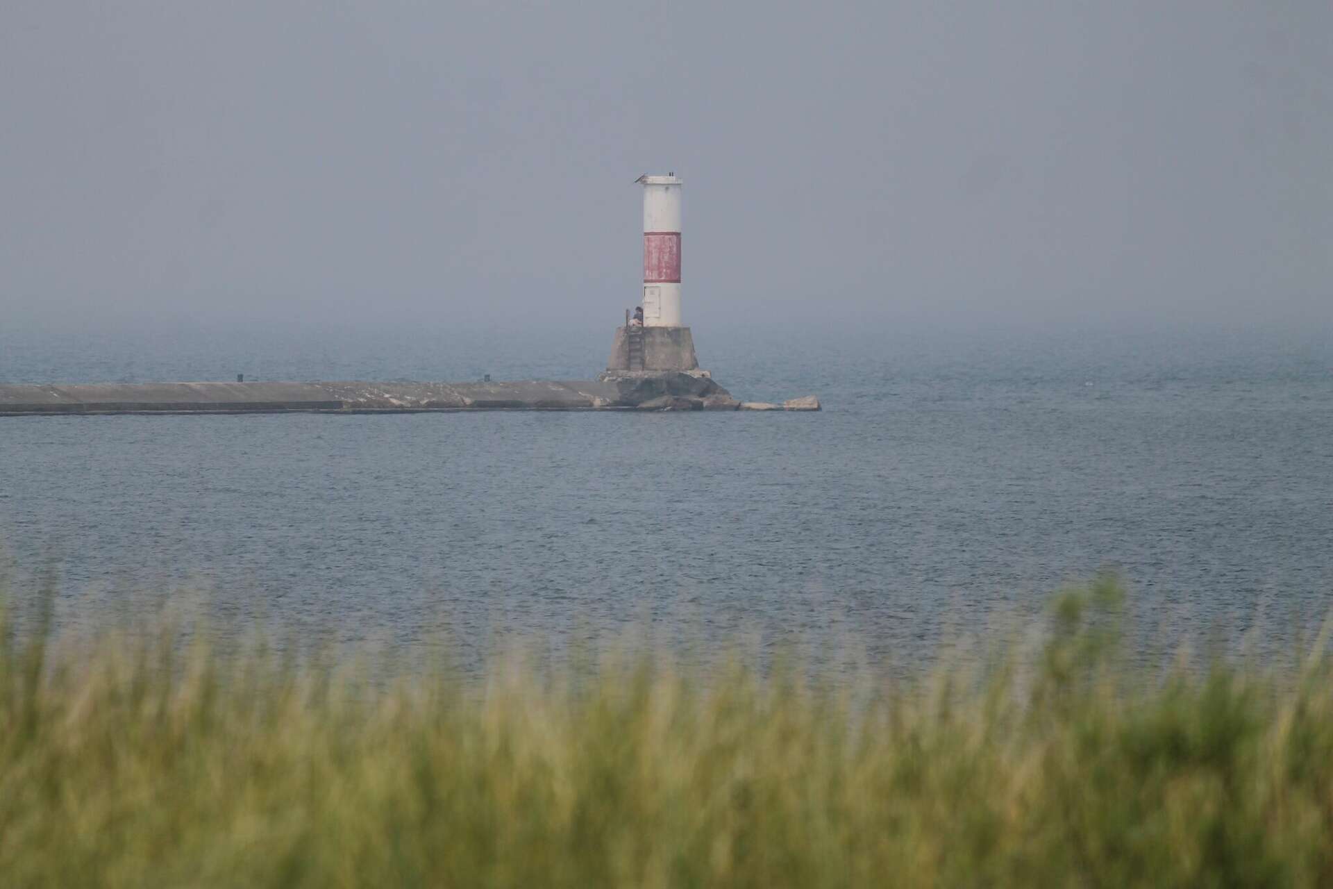 Michigan map shows air quality unhealthy levels for all in region