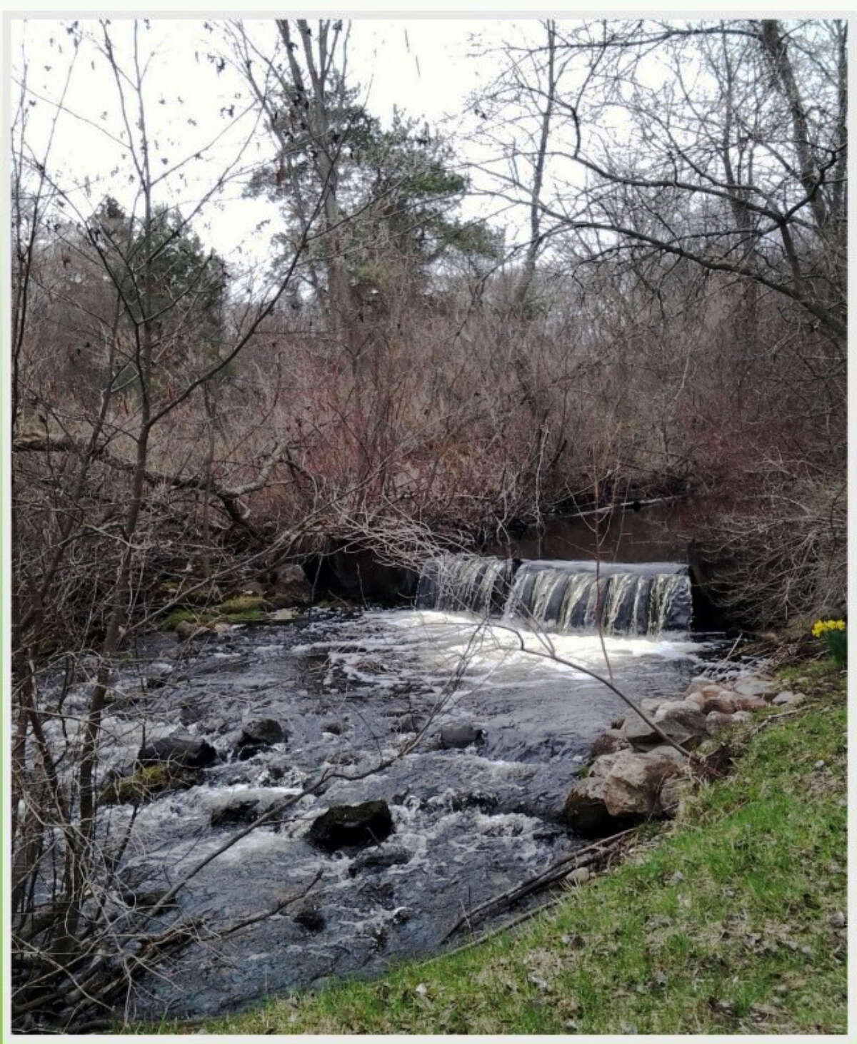 Michigan ghost towns: How the railroad failed to cancel Millbrook