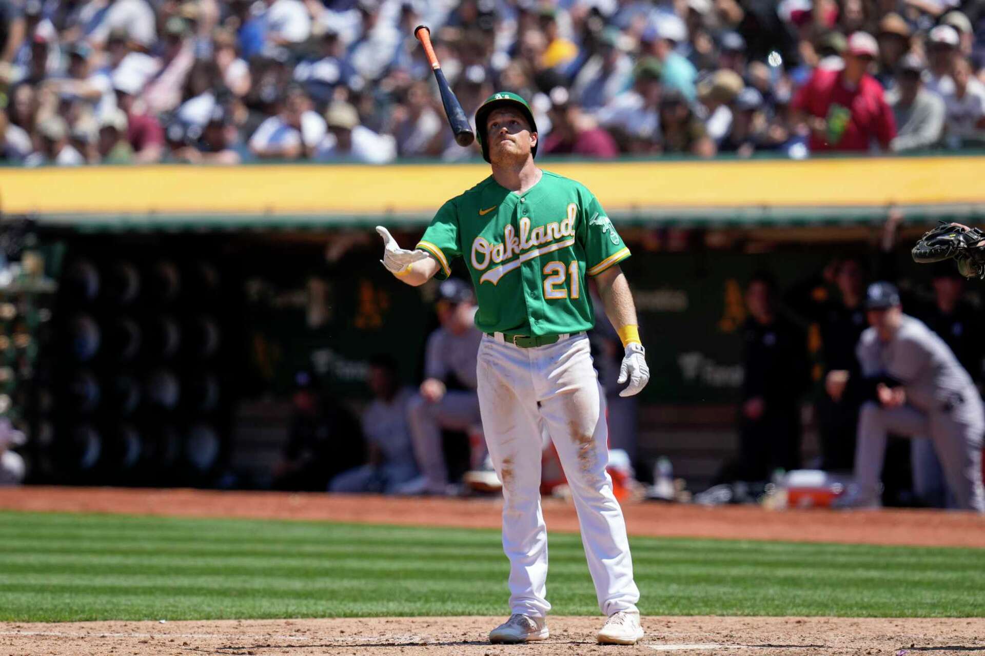 Eight runs in the sixth more than enough as Yankees thrash A's again