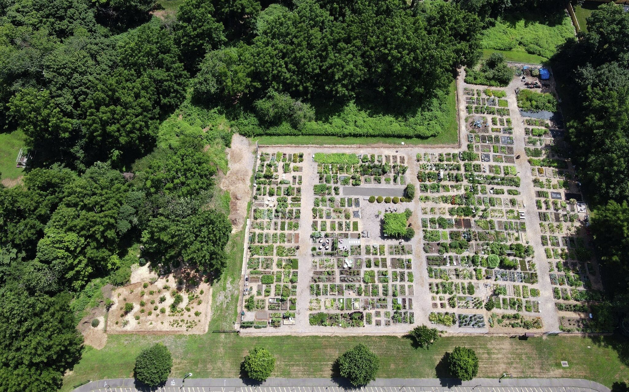 New Long Lots School could force Westport community gardens to move