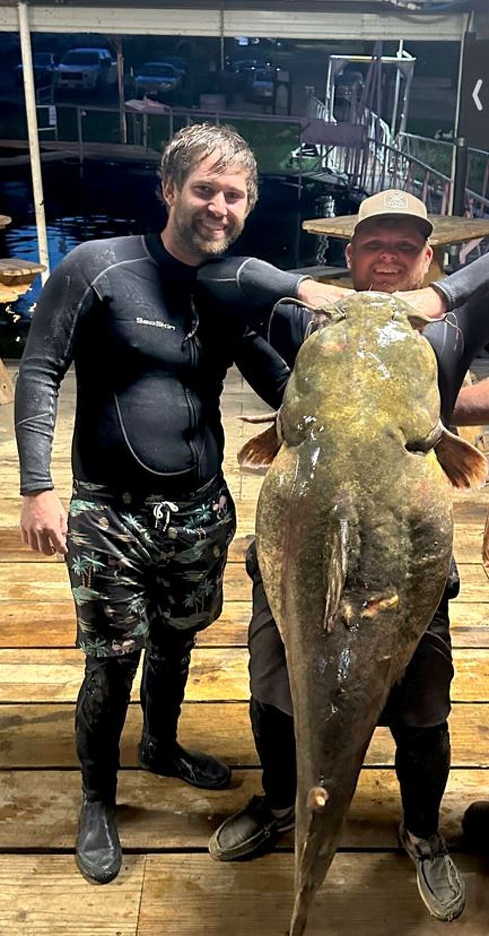 Texas noodlers catch massive potential record-breaking catfish