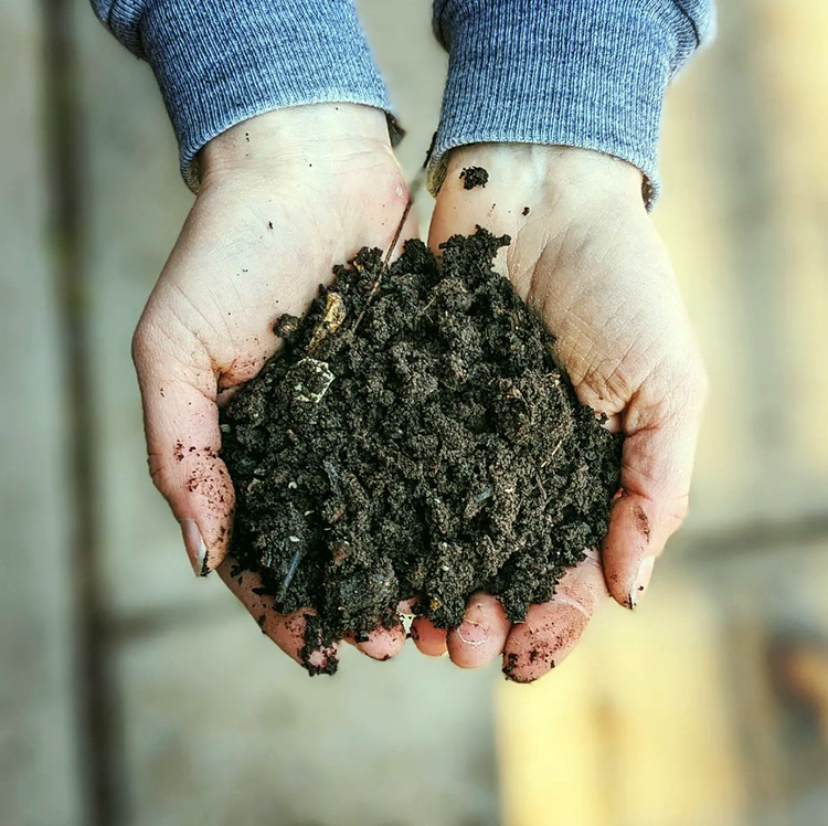 Drop-off composting may come to Edwardsville by fall