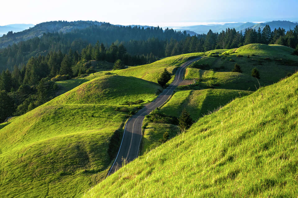 Mount Tamalpais ultimate guide: A haven for SF hiking and more
