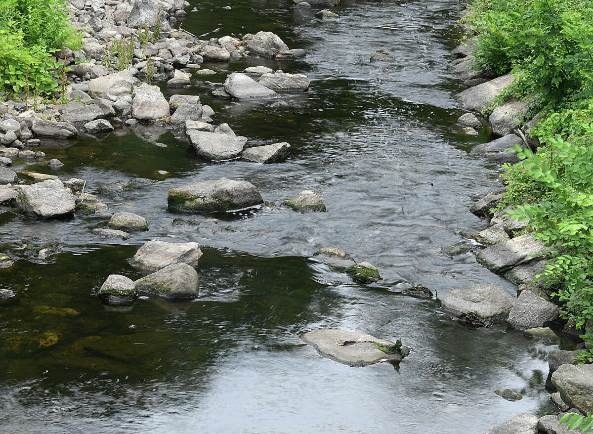 See which Greenwich waterways are safe to swim in