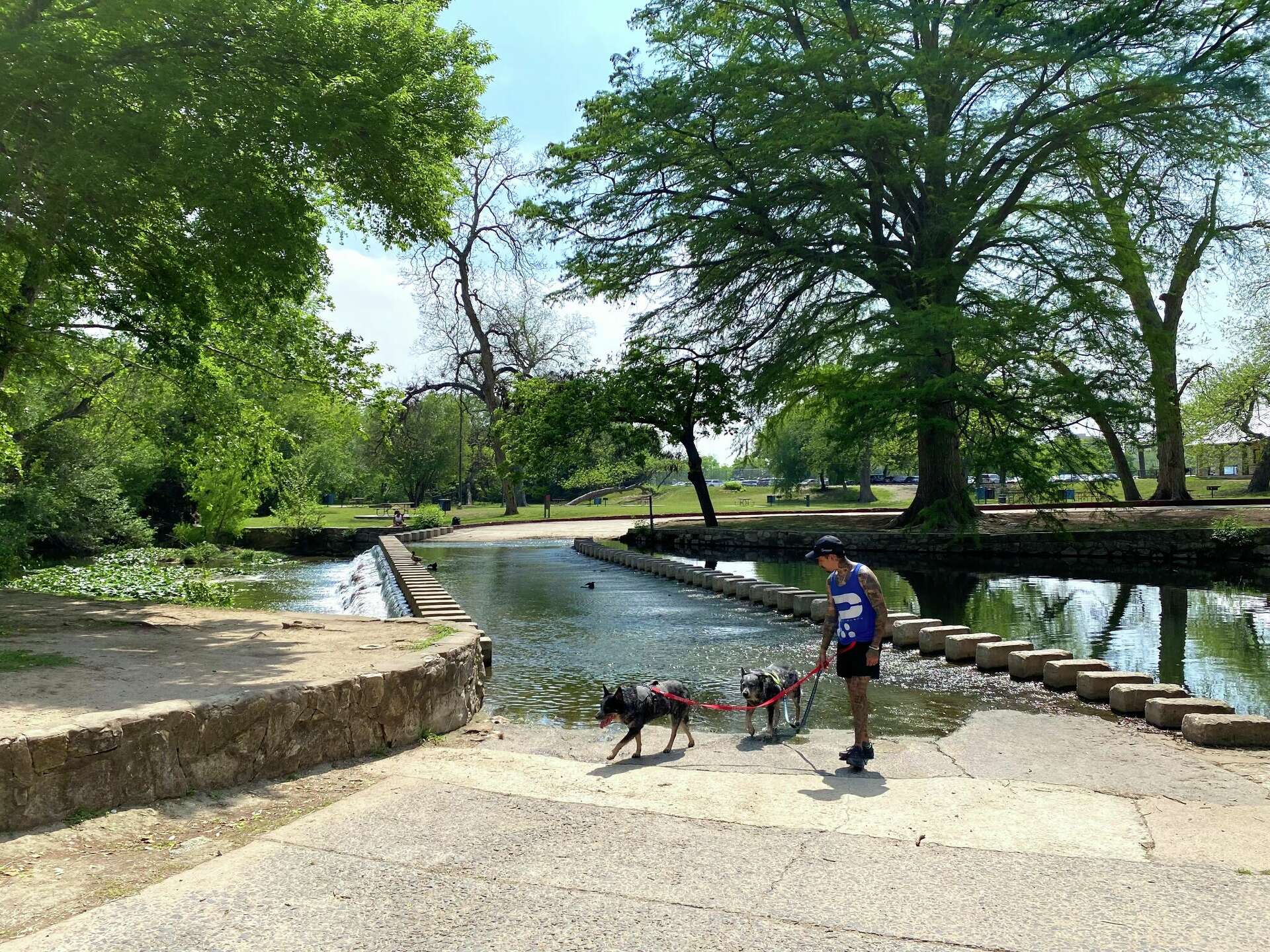 The history of Brackenridge Park and why it's so popular today