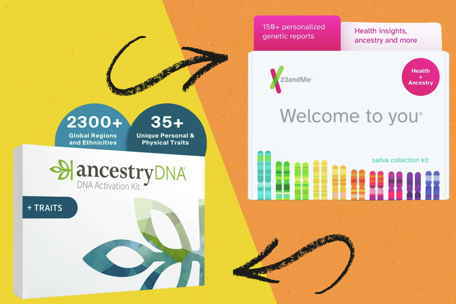 Ancestry and 23andMe DNA test kits are 50% off for Prime Day