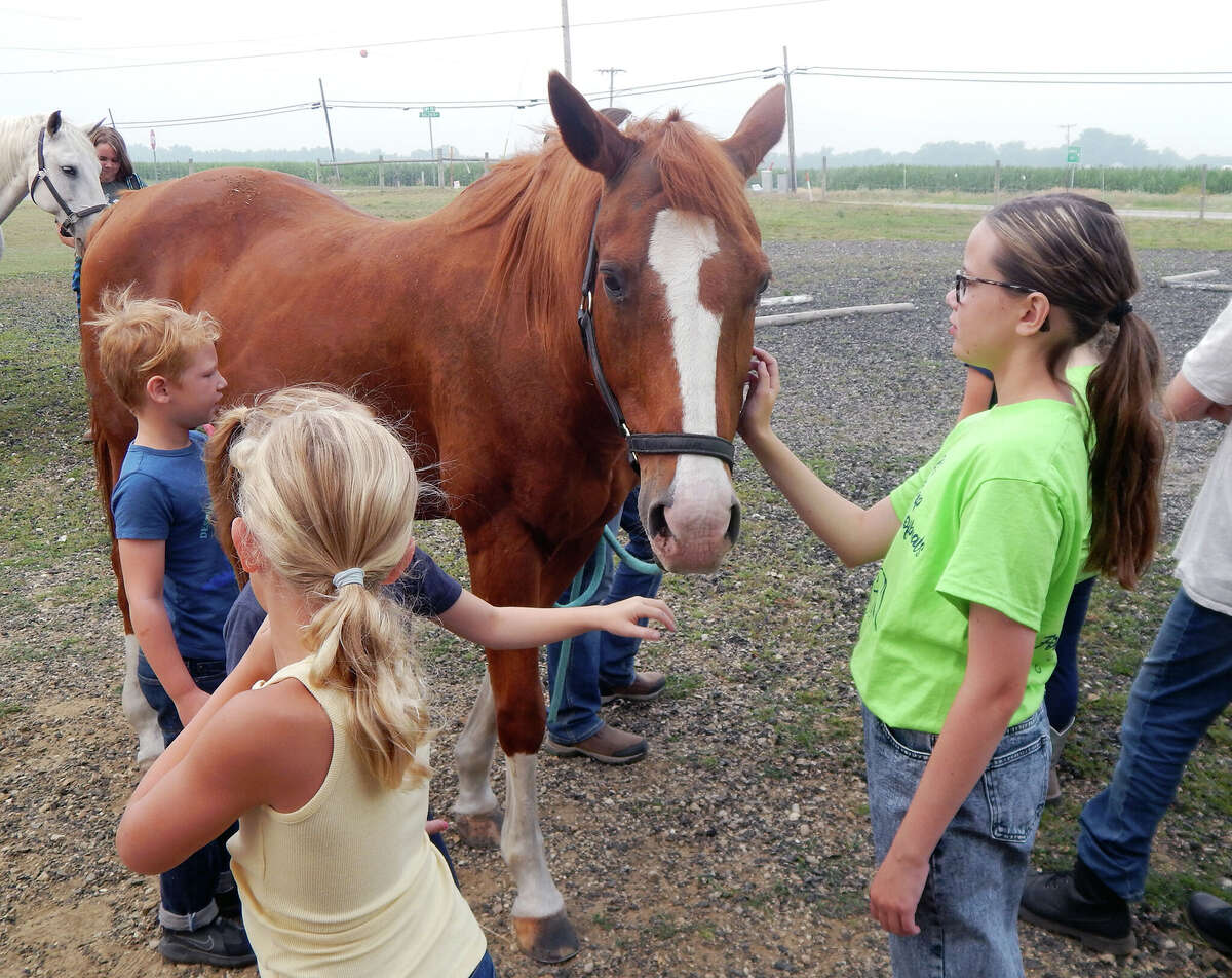 Pony tales: This camp's serious about horsin' around