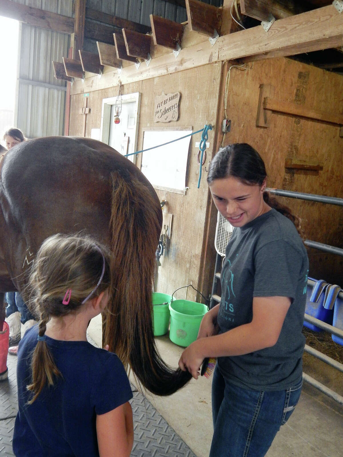 Pony tales: This camp's serious about horsin' around